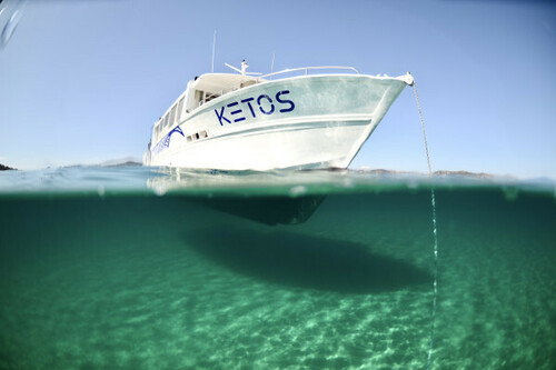 | Golfe de Saint-Tropez Tourisme